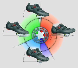 Ergonomics on the Bike: The Correct Riding Position – Velonaut