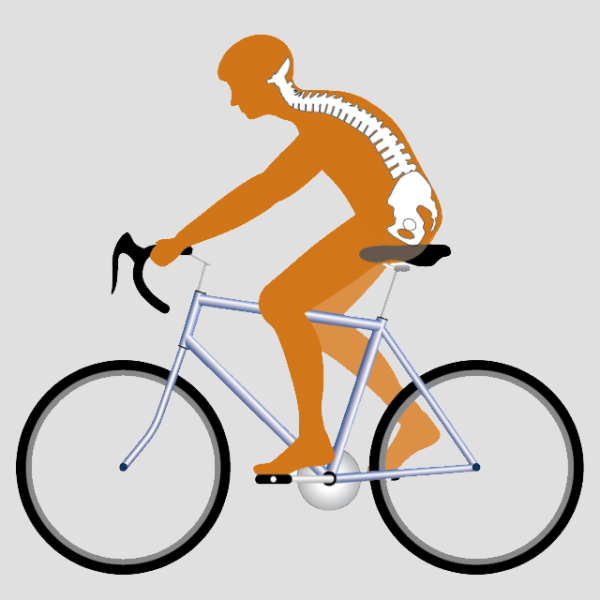 Ergonomics on the Bike: The Correct Riding Position – Velonaut